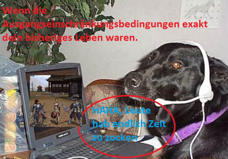 Metin memes :3 - Seite 95 - Taverne - Metin2 DE
